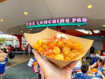 4 Essential Magic Kingdom Meals | the disney food blog