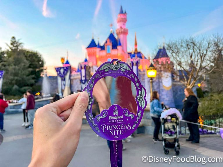 EVERY Character You Can Meet at Disney's New Princess After Hours Event ...
