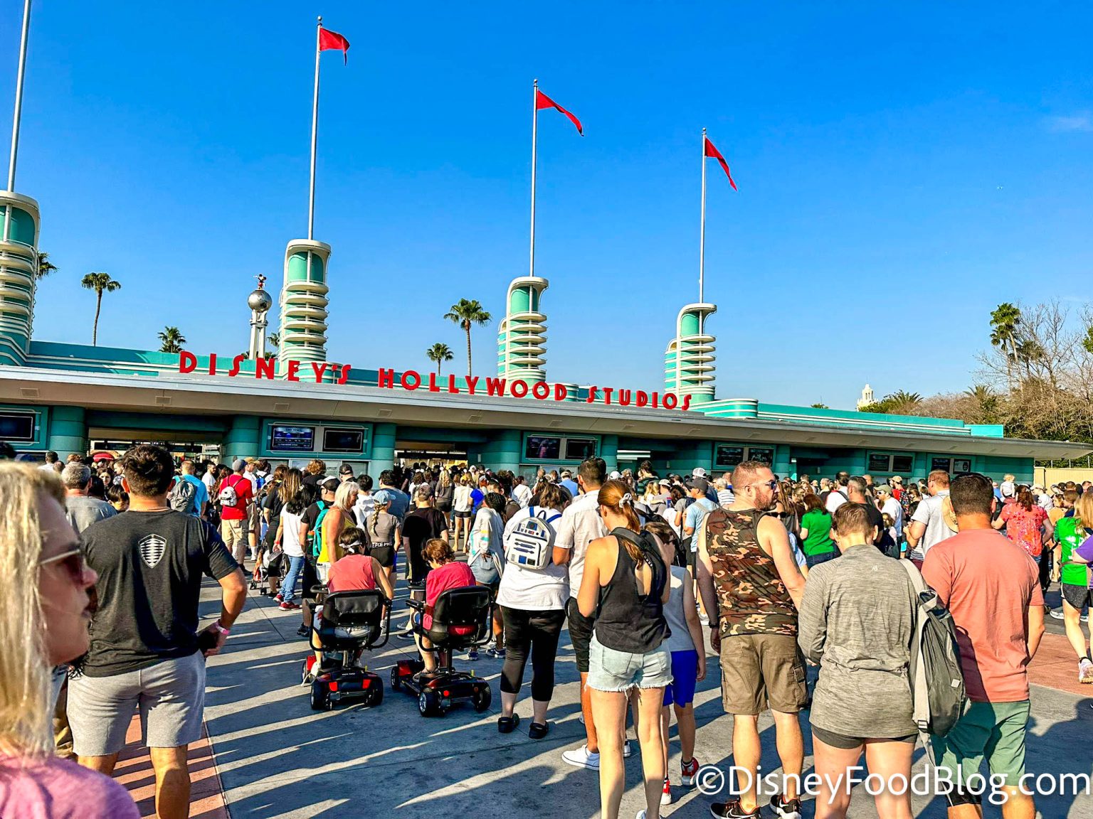 DFB Video: Things People Have To STOP Doing in Disney World | the ...