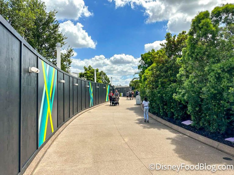 It Just Got EASIER To Walk Through EPCOT - Disney by Mark