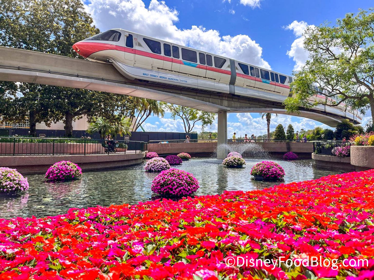 A Guide To EVERY Festival In Disney World's EPCOT | the disney food blog