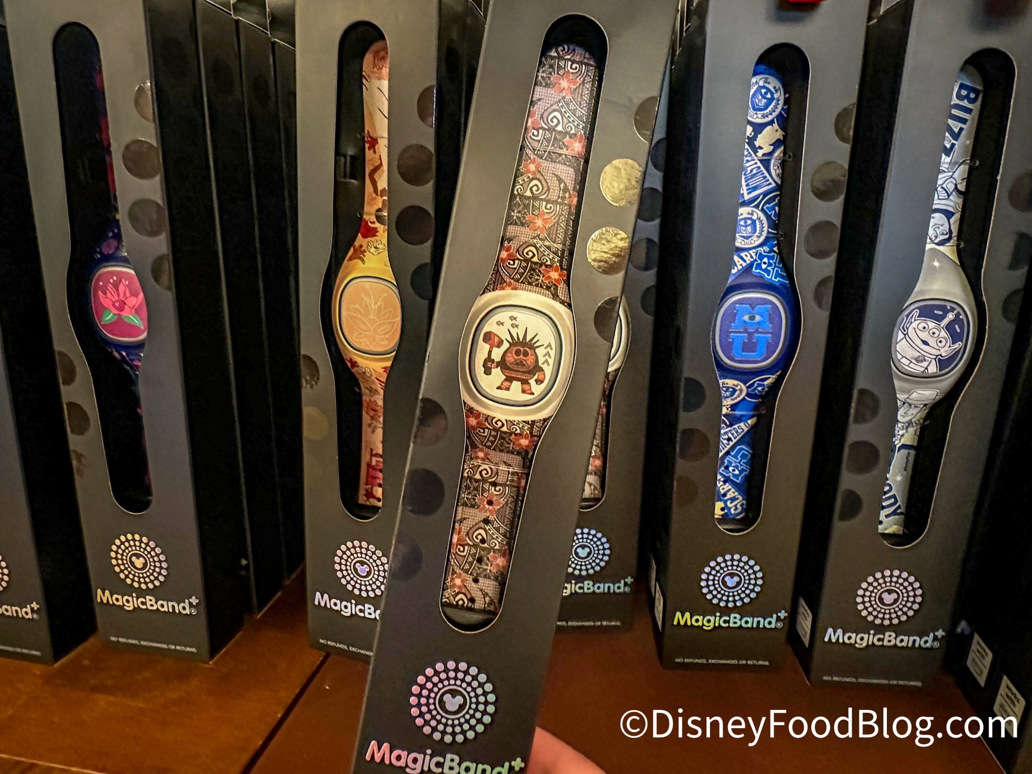 What's New in Magic Kingdom: TRON and the 100th Anniversary Take Over ...