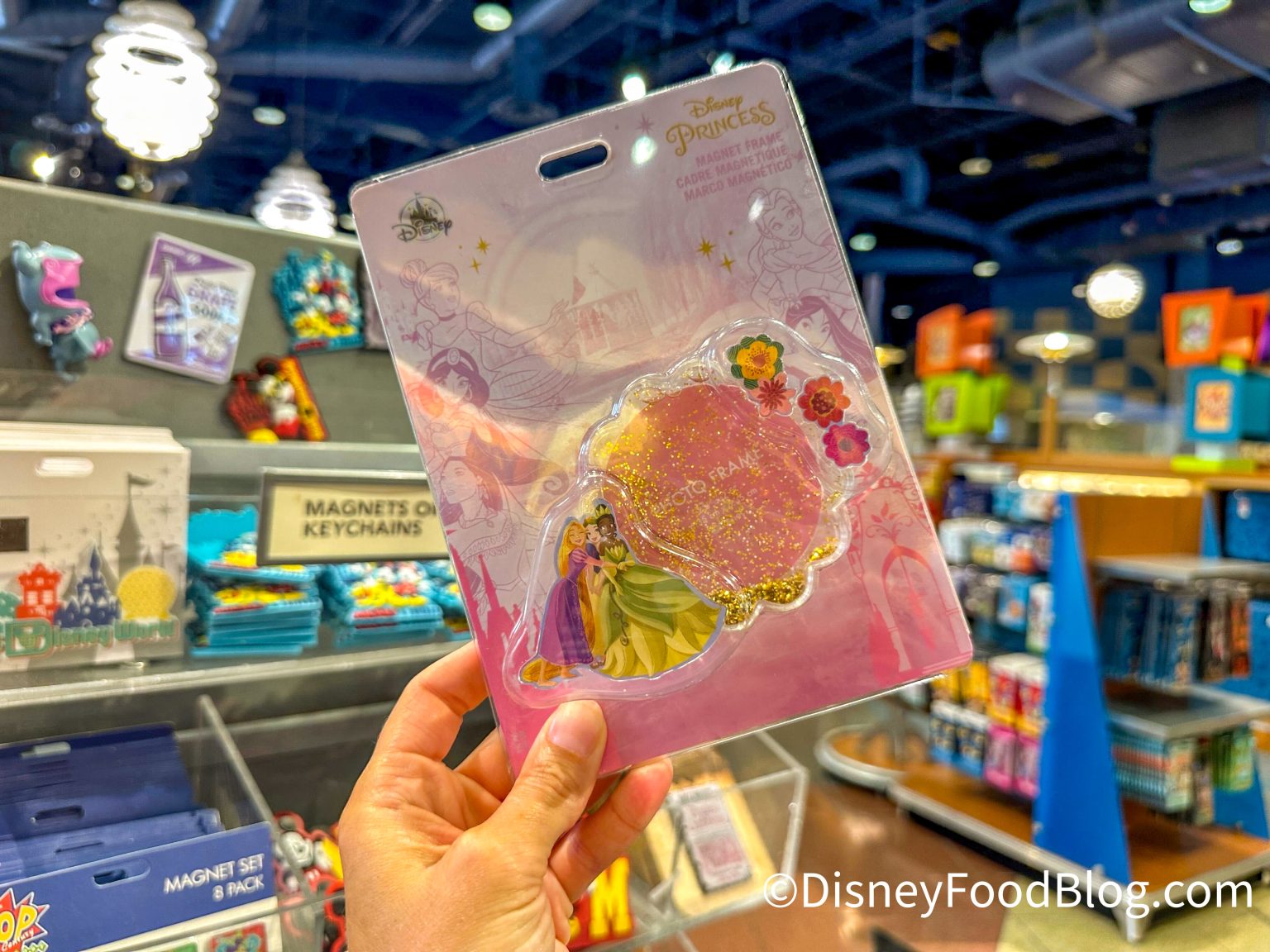 What's New at Disney World's Hotels: Cheap 100th Anniversary Souvenirs ...