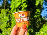 HOT TAKE 🔥 DOLE Whip from Walmart Might Be…BETTER than from Disney ...