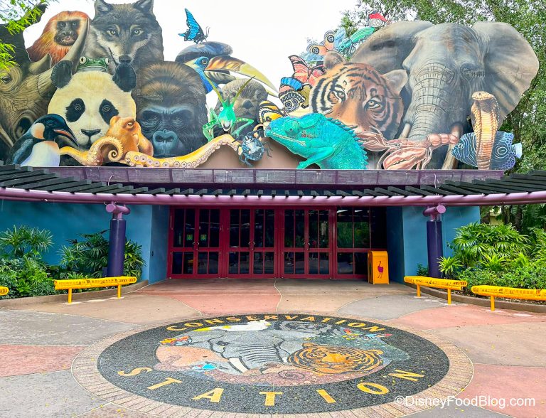 Disney World Announces Virtual Queue Returning For NEW Attraction ...