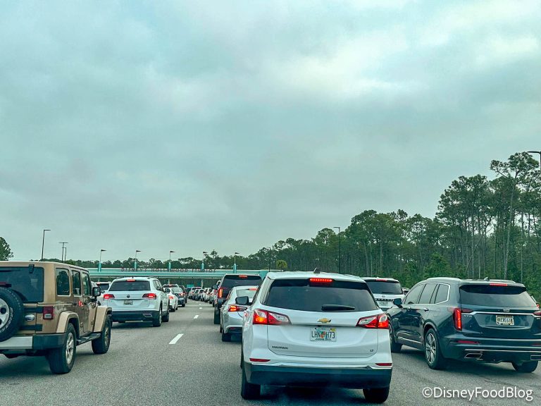 The Roads Around Disney World Are About To CHANGE…for the Better (We ...