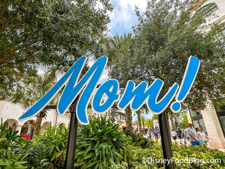 13 Ways to Pamper Disney-Lovin' Moms for Mother's Day | the disney food ...