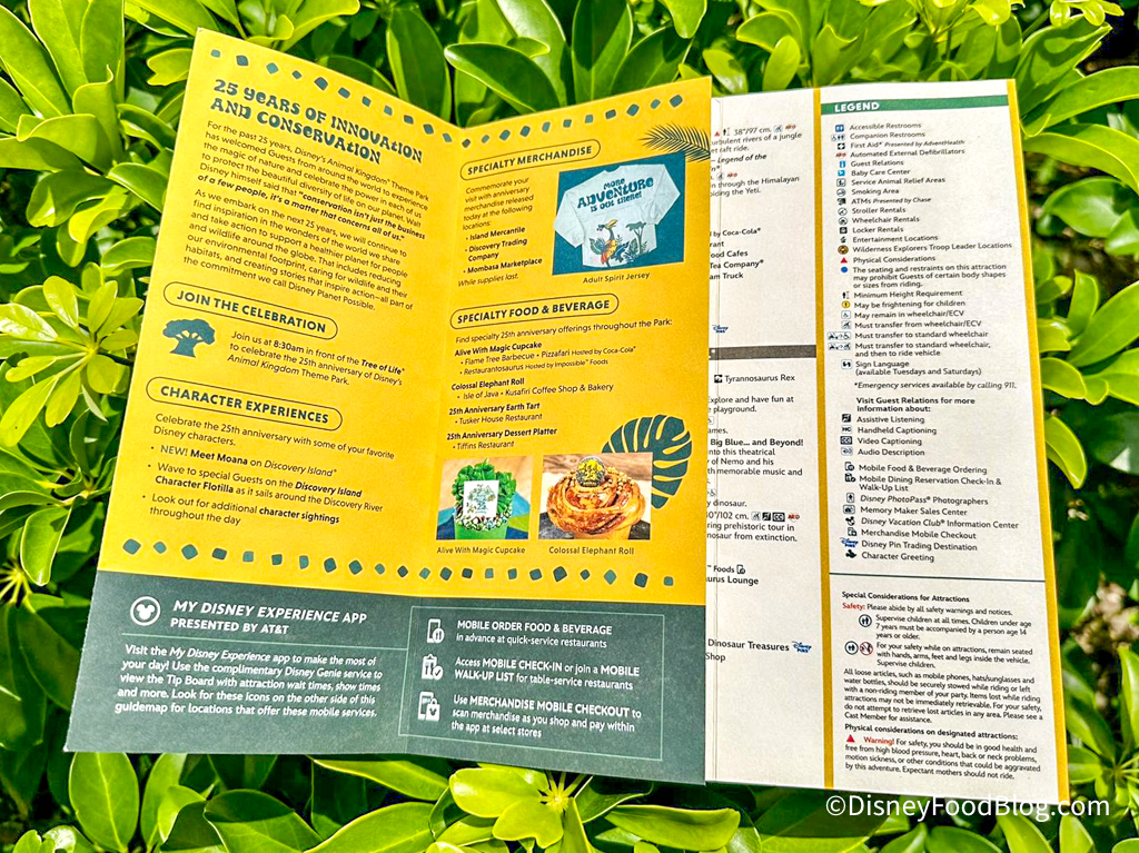 The RARE Disney World Park Map You Can Only Get TODAY | the disney food ...