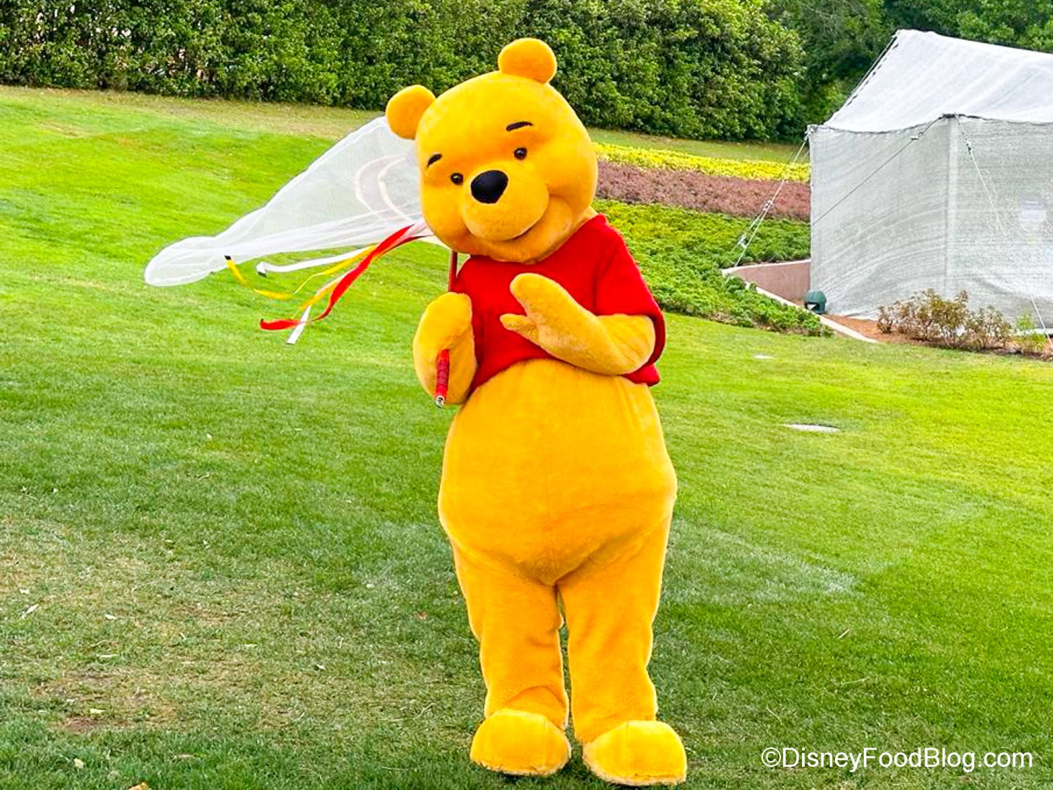 Loungefly Dropped a NEW Winnie the Pooh Collection Online | the disney ...