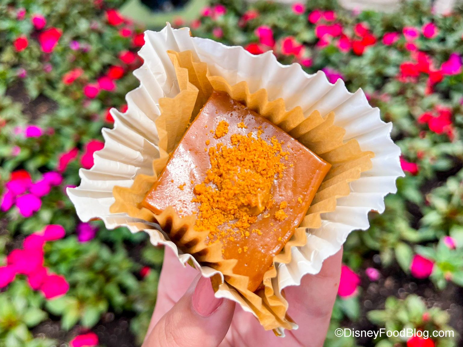 REVIEW: Disney World's New Snack Should Come With a WARNING | the ...