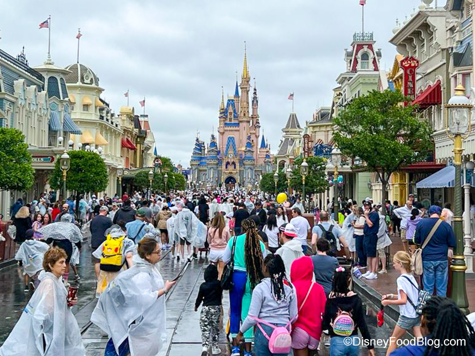 PHOTOS: Check Out the Surprising Crowds in Disney World Today! | the ...