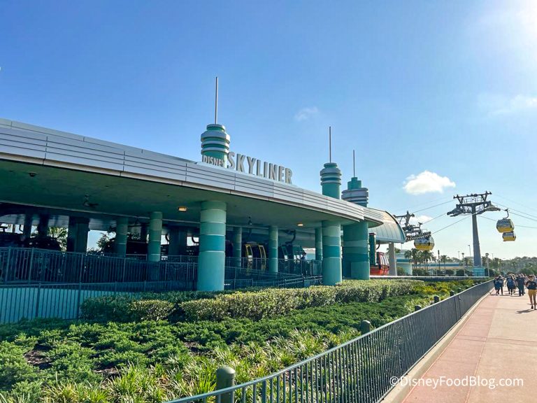 I Go to Disney World Every Day, and I CRINGE When I Hear This on the ...