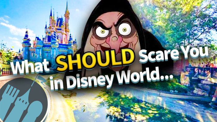 DFB Video: 5 Things You Shouldn't Be Scared of in Walt Disney World…and ...