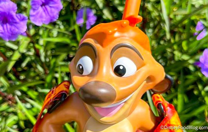 Say Goodbye to $20: A New Collectible Just Dropped in Disney World ...