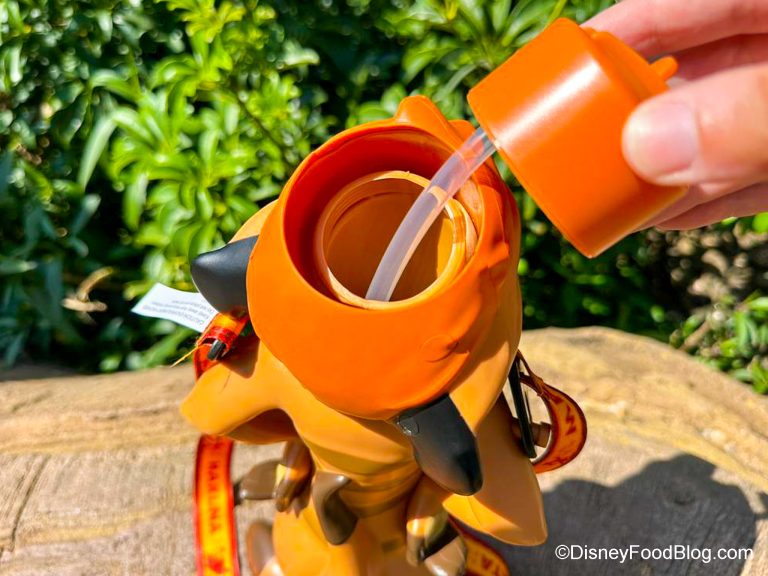 Say Goodbye to $20: A New Collectible Just Dropped in Disney World ...