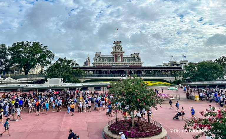 I Found Some Secret Stairs in Magic Kingdom That Can Get You in the ...