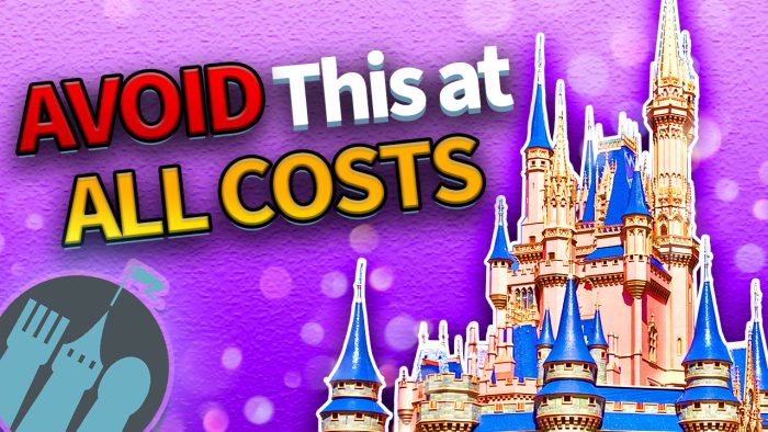 DFB Video: Things to AVOID at All Costs in Disney World | the disney ...