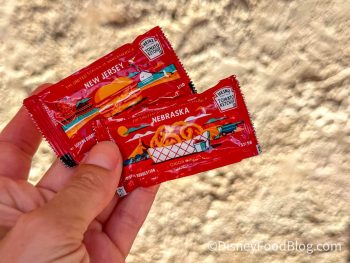 The $100,000 Ketchup SECRET Hiding in Disney World | the disney food blog