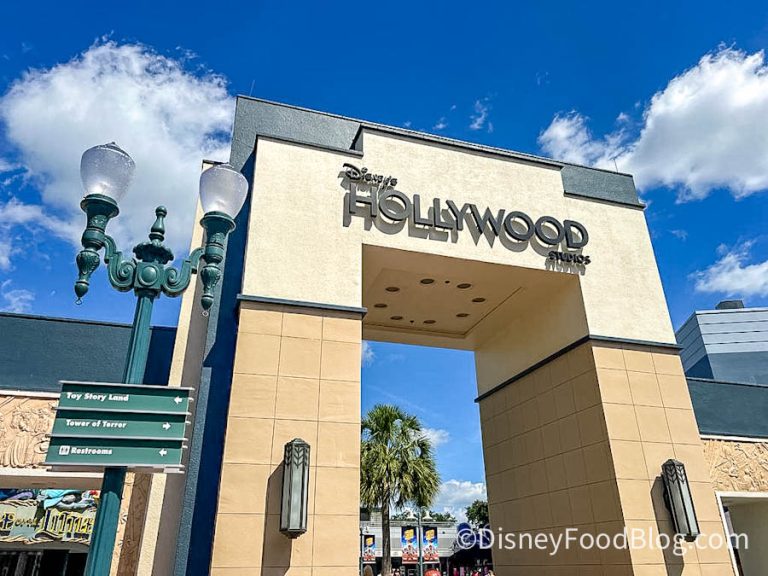ALL the New Rides and Attractions Coming to Disney World in 2025 and ...