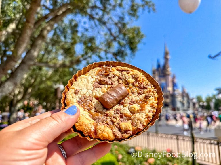 7 Things You'll Regret Putting in Your Disney Parks Bag | the disney ...