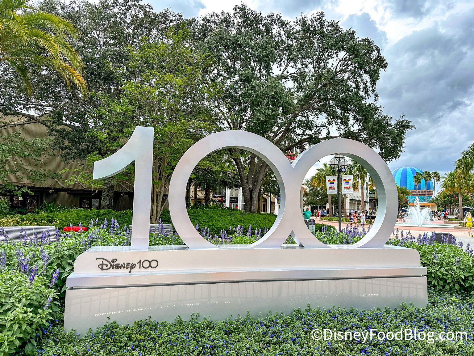 Upgrade Your Kitchen With These NEW 100th Anniversary Disney Items ...