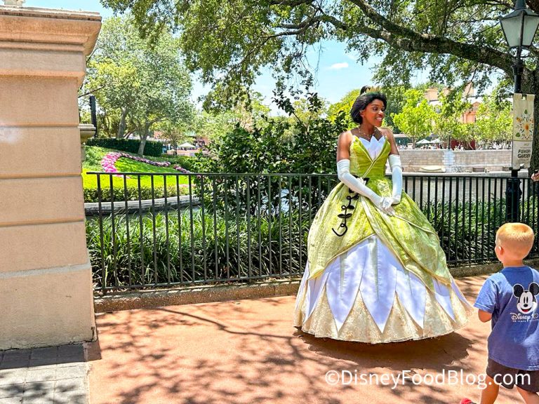 We Found an Unexpected Princess Meet-and-Greet in EPCOT! | the disney ...