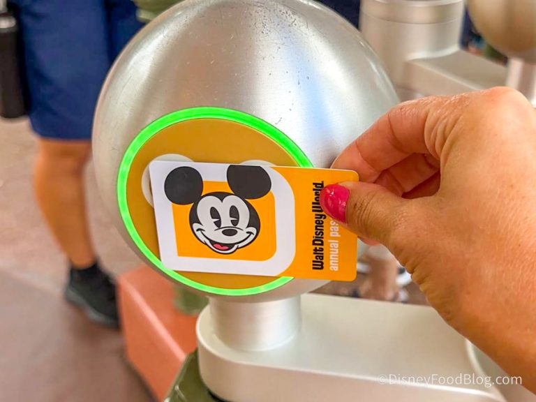 A Disney World Annual Pass Basically Pays for Itself With These 10 ...