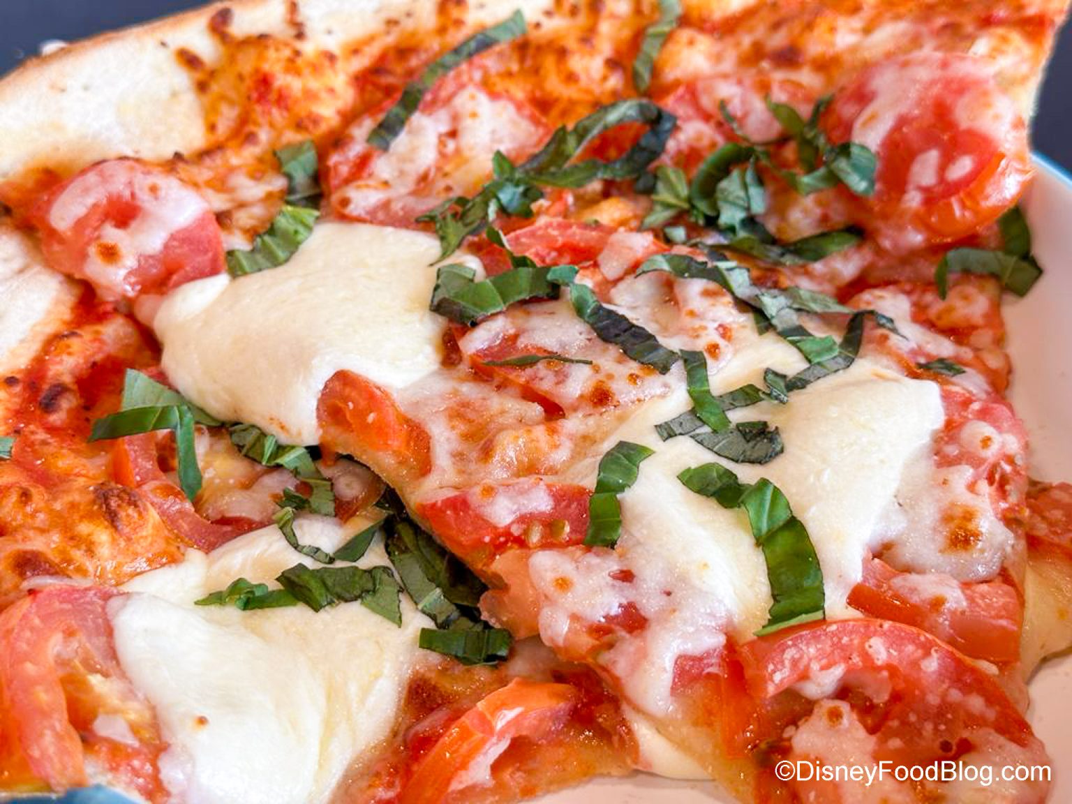 Menu CHANGES Hit Connections Eatery in EPCOT, and We're Trying ALL the ...