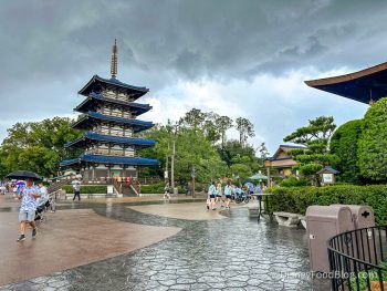 Unexpectedly Dangerous Places in Disney World | the disney food blog