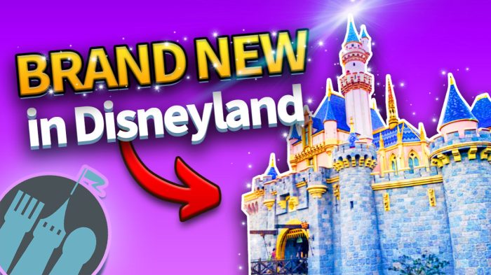 DFB Video: 20 BRAND NEW Things Coming to Disneyland This Year | the ...
