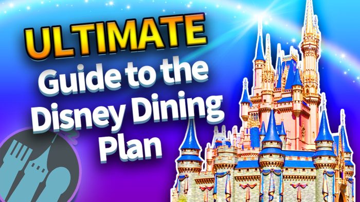 DFB Video: The Ultimate Guide to the Disney Dining Plan | the disney ...