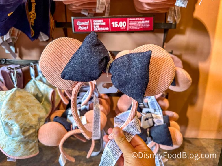 Disney's Animal Kingdom Updates from June 2023 | the disney food blog