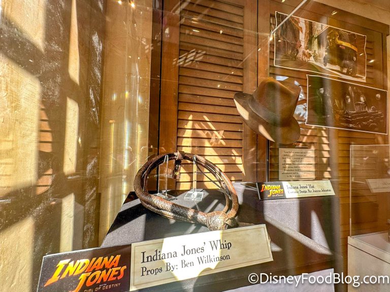 The Ultimate Guide to Indiana Jones in Disney's Hollywood Studios | the ...