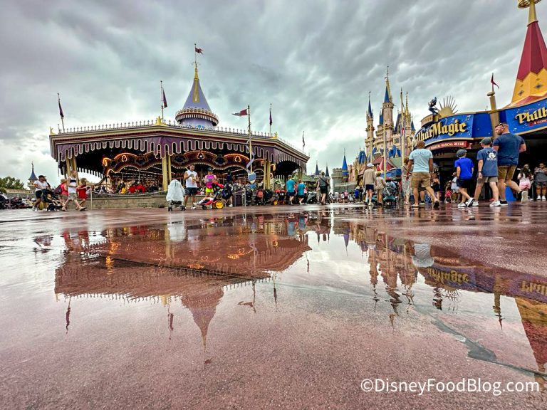 The Weird Cast Member RULE That Only Applies When It Rains in Disney ...