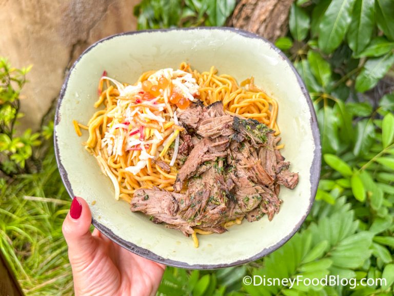 Disney's Animal Kingdom Has 33 Restaurants, But You Only Need To Know ...