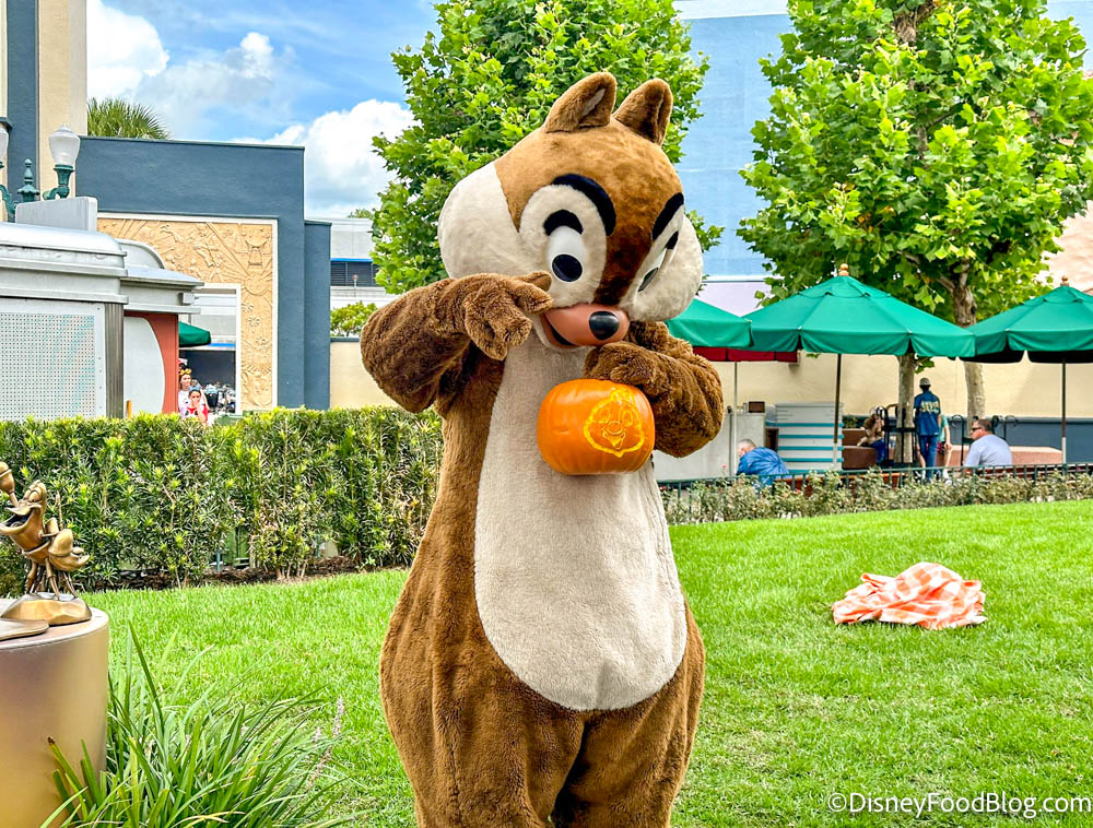 Chip and Dale Put On a Dramatic Show in Disney's Hollywood Studios ...