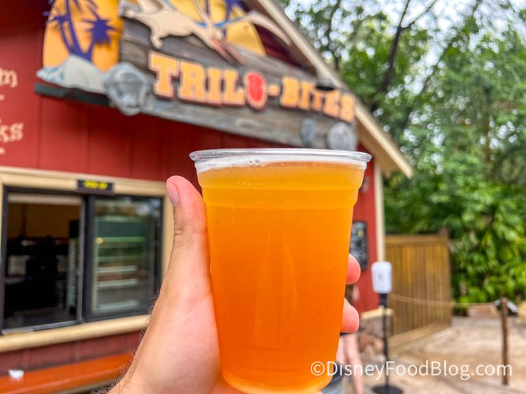 Disney's Animal Kingdom Updates from July 2023 | the disney food blog
