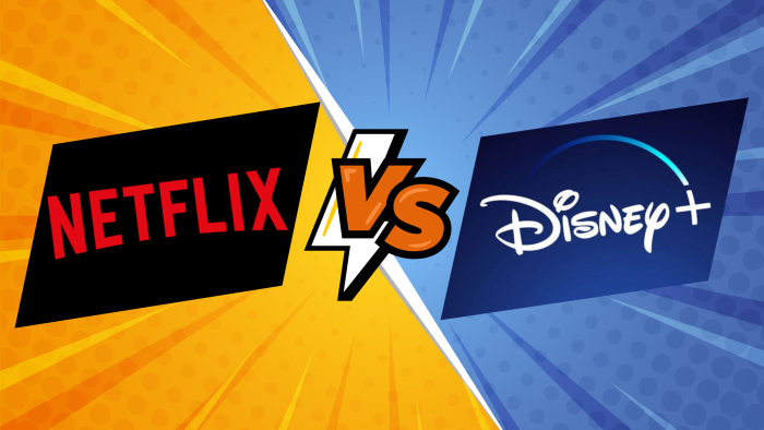 Disney Plus vs Netflix — A COMPLETE Breakdown | the disney food blog