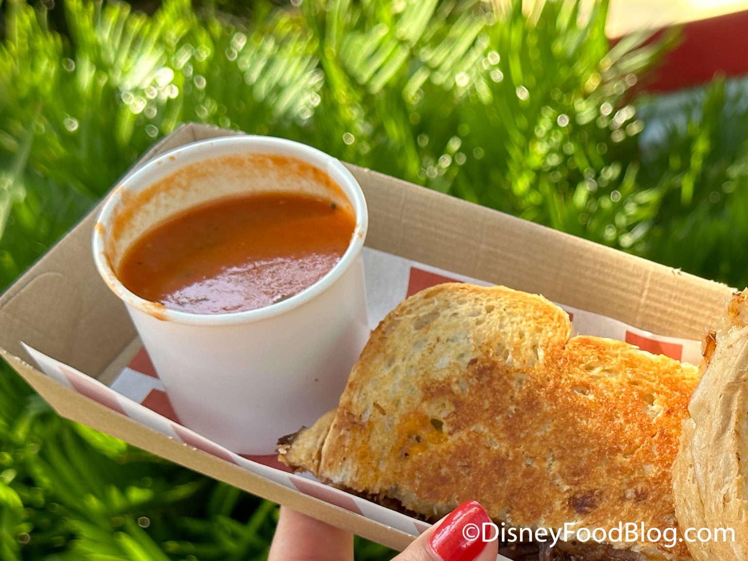 I Ordered the Cheapest Meal in Disney's Hollywood Studios — Here's What ...