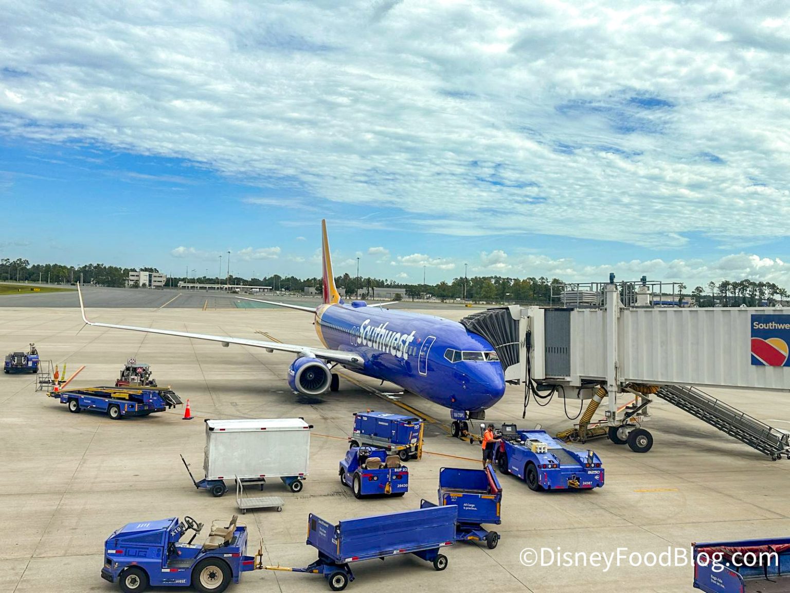 HEADS UP! An Important NEW Airport Rule Starts Next Week | the disney ...