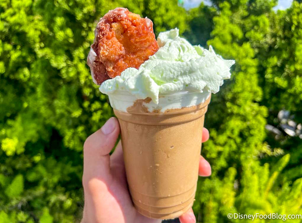 The Controversial Hack for Visiting Magic Kingdom When It's WAY Less ...