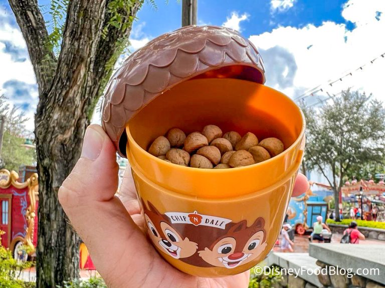 We Shared Our Disney World Treat With Some Chipmunks. It Was Magical ...