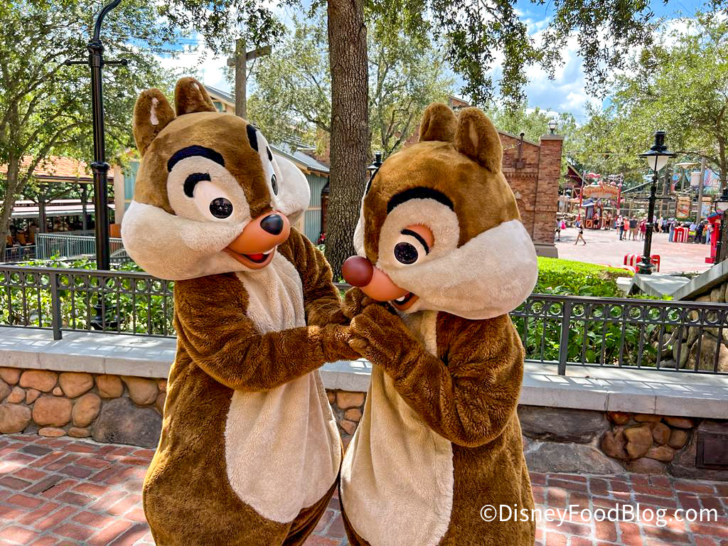 Chip And Dale Disney World