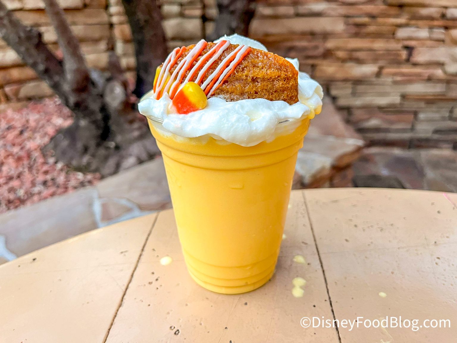 REVIEW: We Ate a Bucket of BONES at Magic Kingdom | the disney food blog