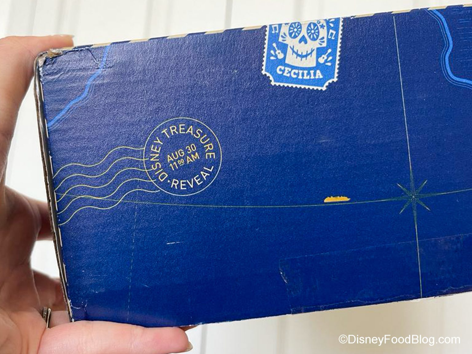 Disney Dropped Over a Dozen NEW Clues About Its Treasure Ship! | the ...