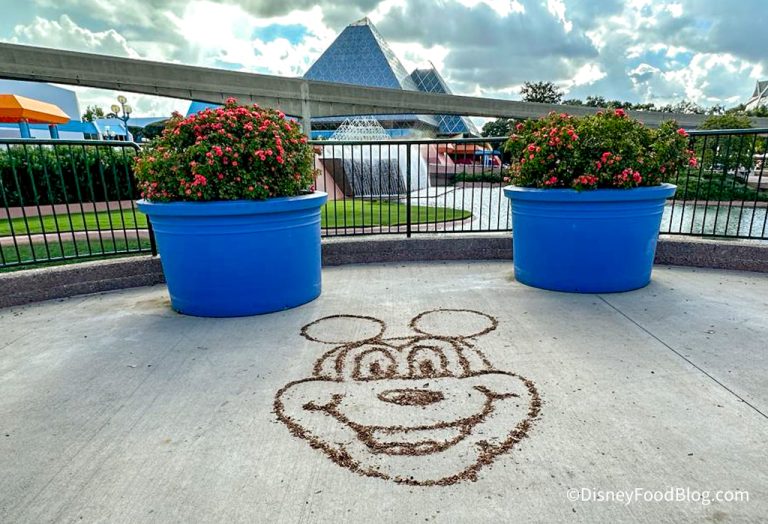 The Hidden Entrance to Get You Into EPCOT Faster - Disney by Mark