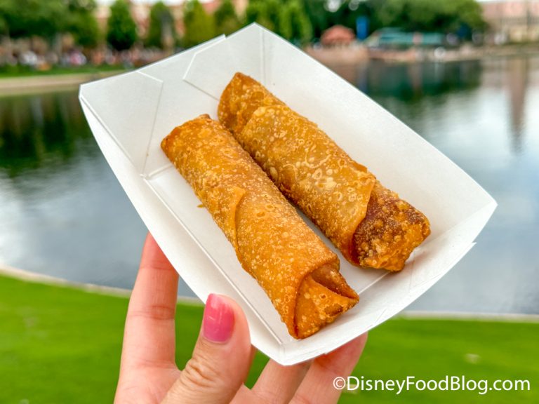 The $5 EPCOT Meal We Can't Stop Thinking About | the disney food blog