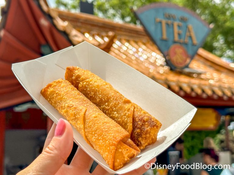 The $5 EPCOT Meal We Can't Stop Thinking About | the disney food blog