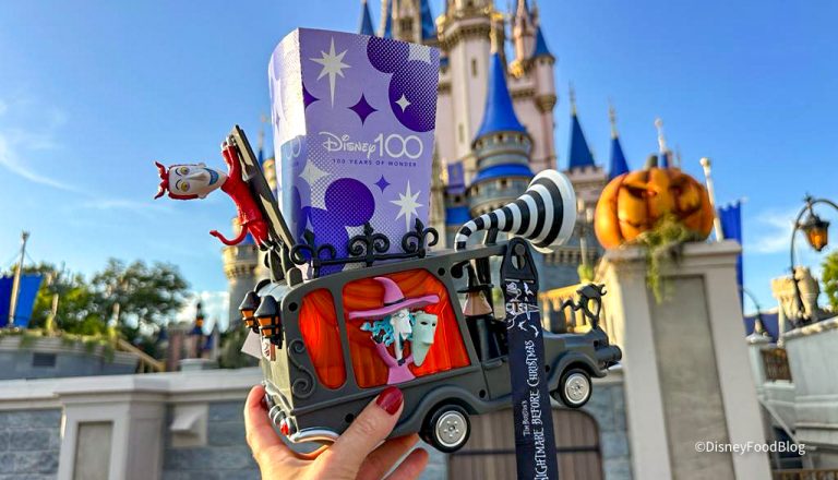 ALERT! A NEW Popcorn Bucket Is Now in Magic Kingdom! | the disney food blog