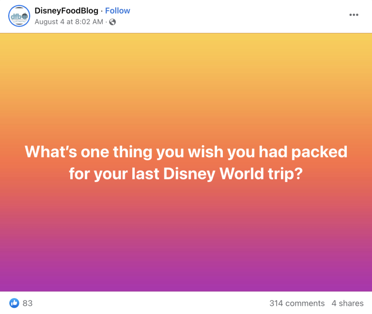 The One Thing Disney World Experts Say You NEED To Pack | the disney ...
